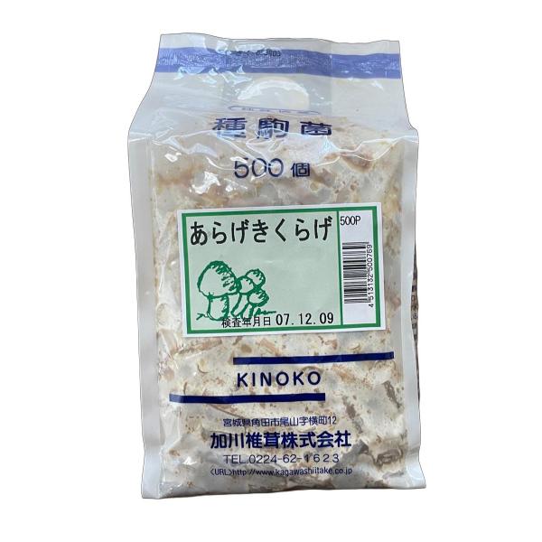 原木栽培用のあらげきくらげの種駒菌です。