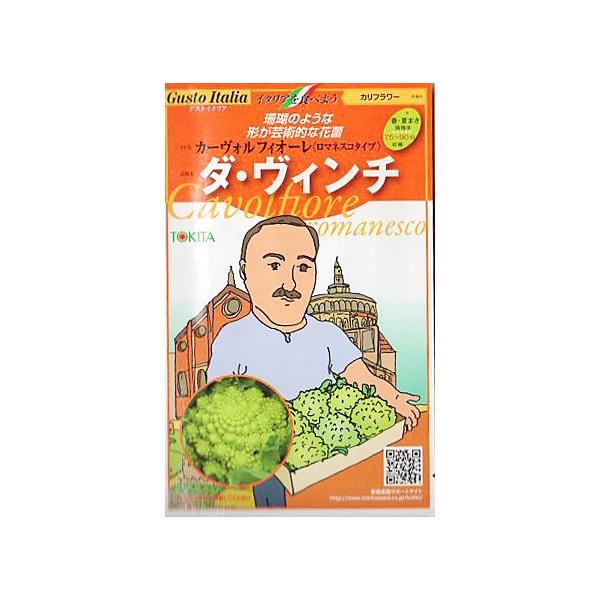 トキタ種苗のグストイタリアシリーズの種です。珊瑚のような形状の花蕾が特徴。生育早生で、定植後75〜90日で収穫可能。草勢は旺盛で耐寒性も強く栽培容易。花蕾は鮮やかな緑色となり、盛り上がりに優れ見栄えが良い。一般のカリフラワーよりも甘みが強く...