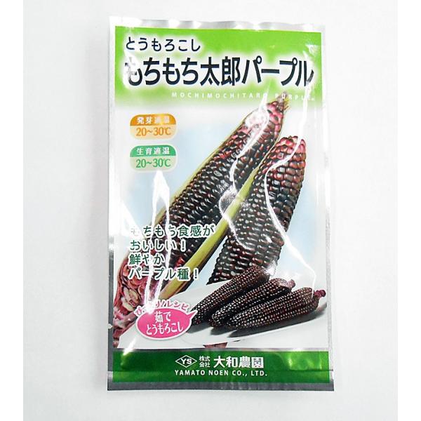 直売所出荷にも向く、もちもち食感が珍しい紫とうもろこし。穂重は約300ｇ、穂長は約25cmで甘味もモチ感も強い。播種後約80〜85日が収穫目安。バイカラー種と比較して草丈は低い。草丈はスイート種と比較して高くなるが、根張りが良いため倒伏には強い。