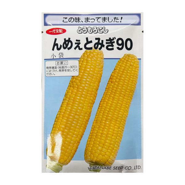 播種後は88日位で収穫できる良質高甘味中生種です
