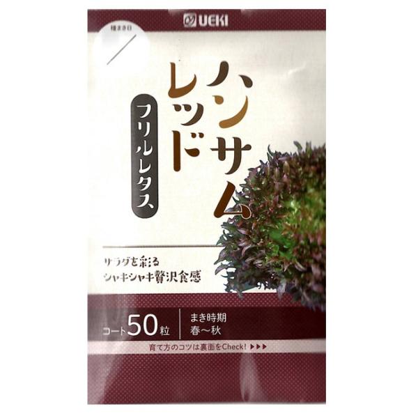 食卓のニューヒロイン。サラダのアクセントとして、混ぜてもシャキシャキ、熱い料理にのせてもシャキシャキおいしいフリルレタスです！！ベビーリーフでも使えます。サラダに混ぜれば赤いフリルが可愛いです。お弁当の仕切りとしても、肉を巻いて食べてもシャ...