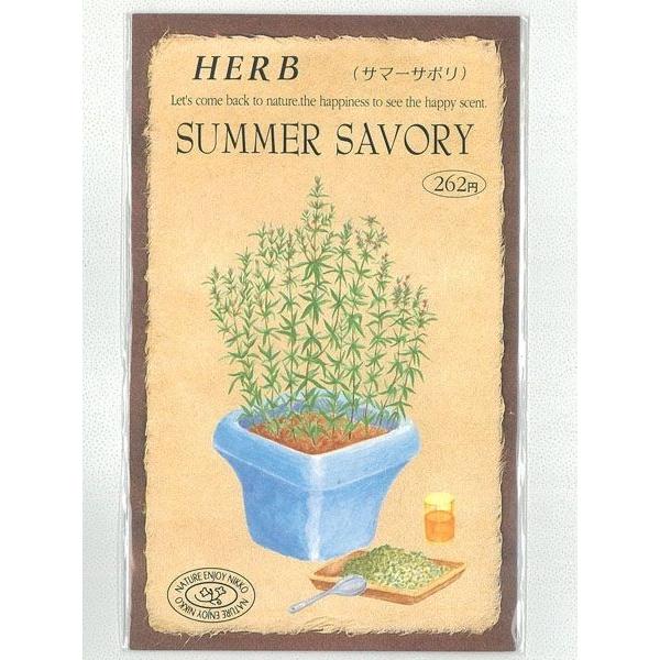 豆料理によく使われる豆のハーブ