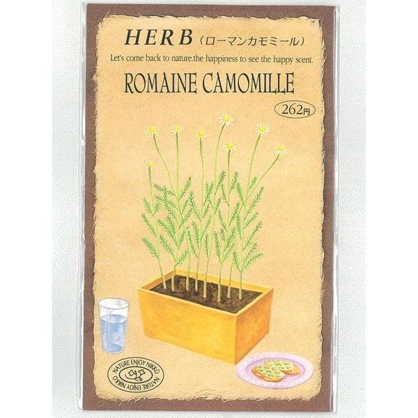 【発売日：2013年02月28日】