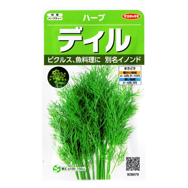 細い糸のような葉をもち、夏には傘を開いたような黄色い花をつけます。セリ特有の強い香りがあり、葉・花房・タネともにピクルスに利用されます。葉を使うとマイルドに仕上がり、タネを使うと強い香りがつきます