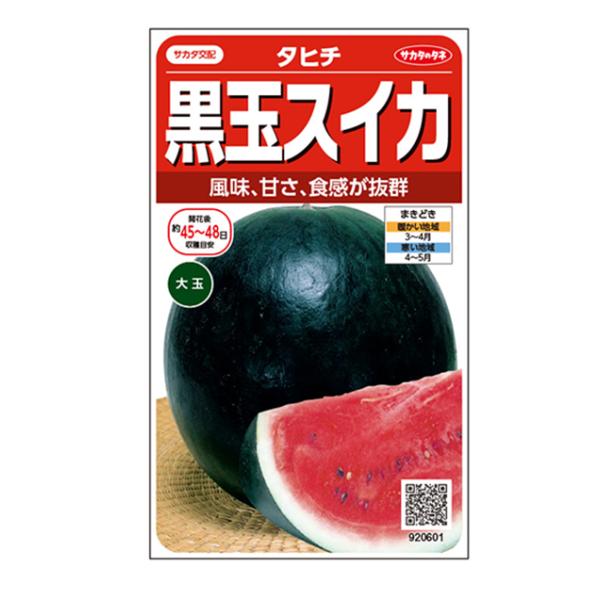 黒皮の大玉スイカの超人気品種です。病気に強くてつくりやすく、重さは7〜8kgにもなります。鮮やかな紅赤色、糖度は約12度、肉質はしまり、日もち・食味がとくにすぐれています。つる割病と炭そ病に対して耐病性があります。
