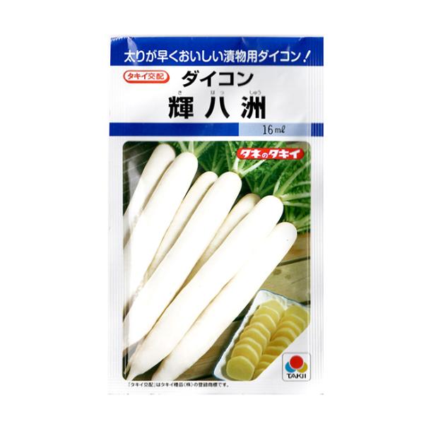 早太り性にすぐれ作りやすい！良質の生漬用ダイコン！
