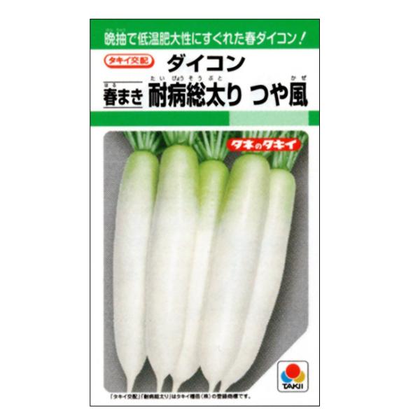 ウ立ちが遅く、低温下での肥大性にすぐれる春ダイコン。そろいがよく、秀品率が高い。萎黄病に強く、作りやすい