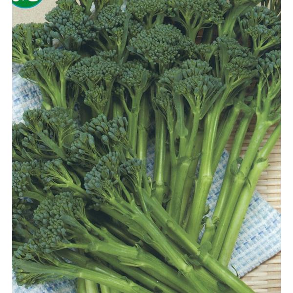 たくさんとれるスティックタイプです