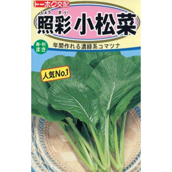 年間を通して作りやすく、栄養価の高い緑黄色野菜として全国的に人気の品種です。