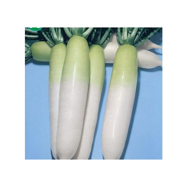 暑さと病気に強い