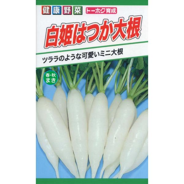 ツララのような可愛いミニ大根