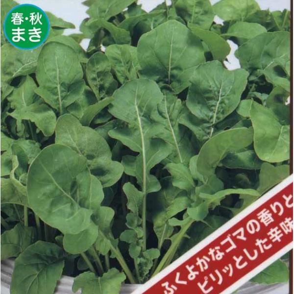 イタリアンサラダでは定番。ふくよかなゴマの香りとピリッとした辛味が絶妙です。