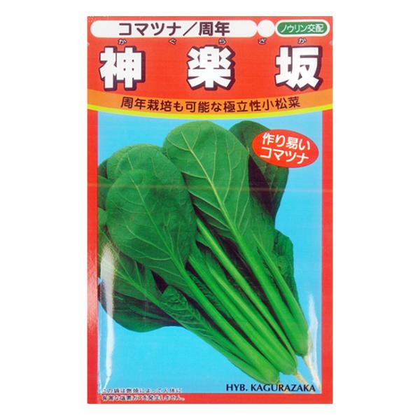 高温期の栽培でも軸が太く、草丈が伸びすぎない。また、低温期においてもじっくり育つので、適応幅が広く、周年栽培が可能な品種。葉は照りの良い鮮緑色で、軸の色も濃いので、束ねた時の見映えが良い。草姿は極立性、軸は葉の境まで太く、葉肉が厚いので重量...