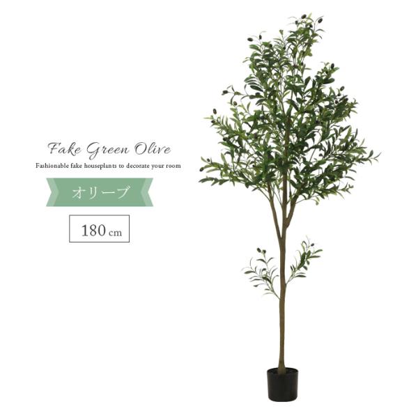 商品仕様／規格商品名フェイクグリーン　オリーブ 180cmサイズ  (cm)幅:60 × 奥行:60 × 高さ:180＜鉢＞ 直径:13 × 高さ:13＜商品重量＞ 4.1kg＜外箱＞ 幅:110 × 奥行:18 × 高さ:18材質葉：ポリ...
