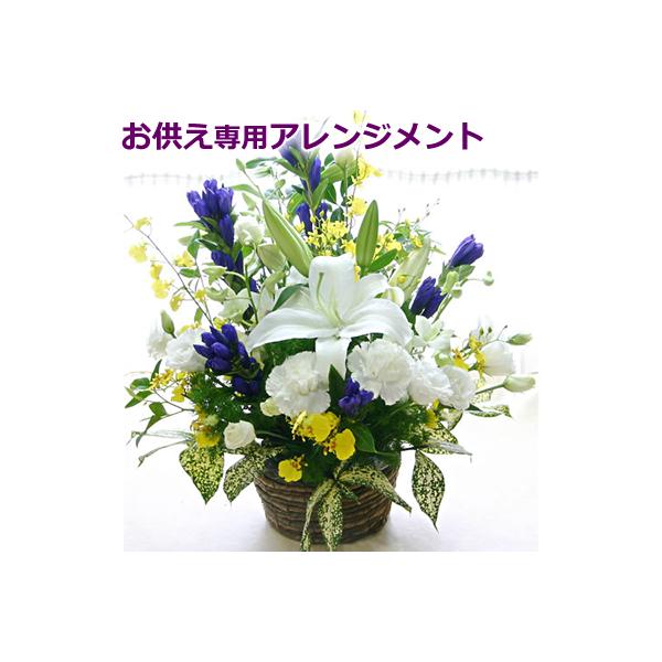 【用途】お供え お悔やみ お悔み 法要 法事 供養 仏事 弔事 お供え花 お供え物 仏花 供花 弔花 枕花 仏壇花 命日 月命日 四十九日 年回忌法要 年忌法要 一周忌 三周忌 三回忌 七回忌 十三回忌 十七回忌 二十三回忌 二十七回忌 お...