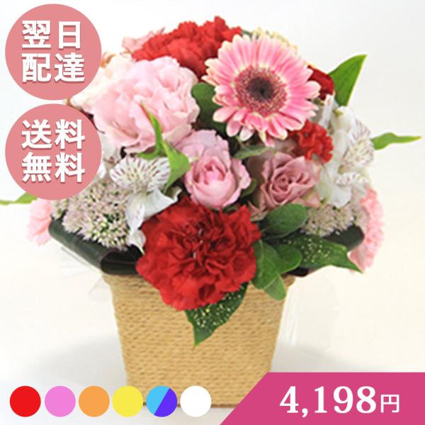 【用途】お祝い 誕生日祝い 誕生祝 誕生日プレゼント バースデーギフト 贈り物 ギフト 結婚祝い 結婚記念日 記念日 記念品 退職祝い 定年 退職 告白 プロポーズ 出産祝い 新築祝い 改築祝い 引っ越し祝い 電報 お供え お悔やみ お悔み...