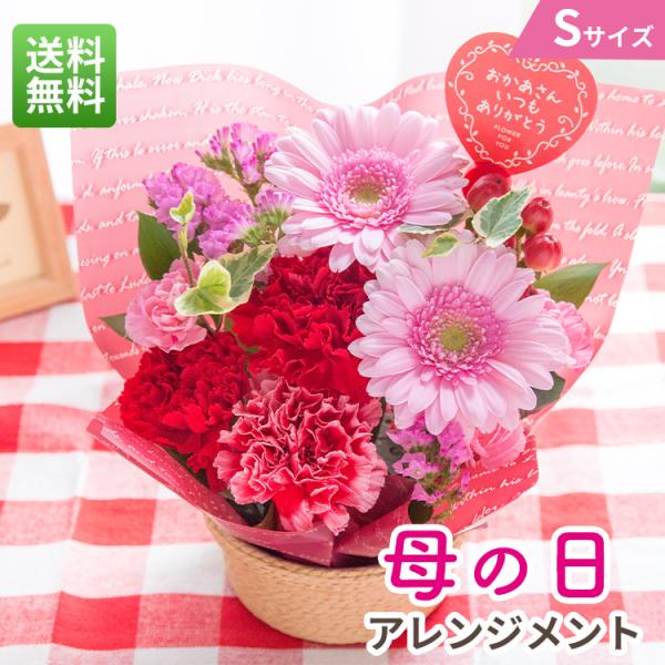 【発売日：2026年02月25日】当店通常価格　2998円早割4/26まで■母の日期間のお届け締め切りについて・遠方（北海道、中国地方、四国地方、九州地方、一部の離島）→5月6日午前10時まで・上記以外の地域→5月9日午前10時まで※締切日...