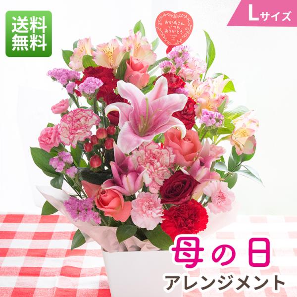 【発売日：2026年02月25日】当店通常価格　5998円早割4/26まで■母の日期間のお届け締め切りについて・遠方（北海道、中国地方、四国地方、九州地方、一部の離島）→5月6日午前10時まで・上記以外の地域→5月9日午前10時まで※締切日...