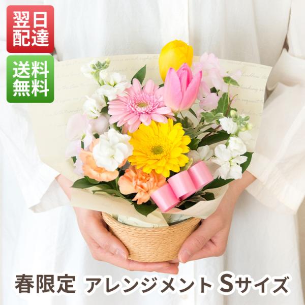 【用途】お祝い 誕生日祝い 誕生祝 誕生日プレゼント バースデーギフト 贈り物 ギフト 結婚祝い 結婚記念日 記念日 記念品 退職祝い 定年 退職 告白 プロポーズ 出産祝い 新築祝い 改築祝い 引っ越し祝い 電報 お供え お悔やみ お悔み...