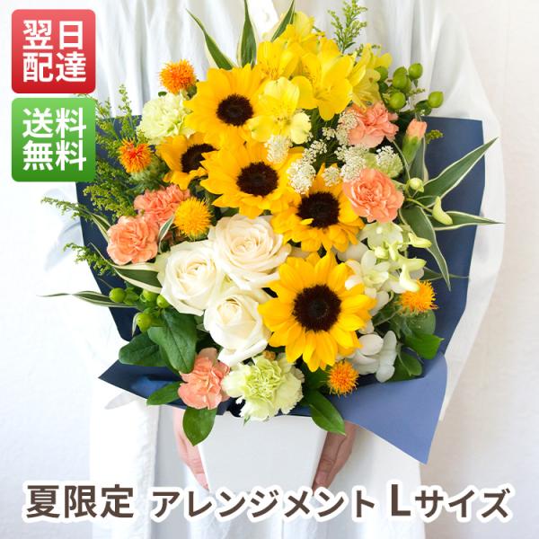 【用途】お祝い 誕生日祝い 誕生祝 誕生日プレゼント バースデーギフト 贈り物 ギフト 結婚祝い 結婚記念日 記念日 記念品 退職祝い 定年 退職 告白 プロポーズ 出産祝い 新築祝い 改築祝い 引っ越し祝い 電報 お供え お悔やみ お悔み...