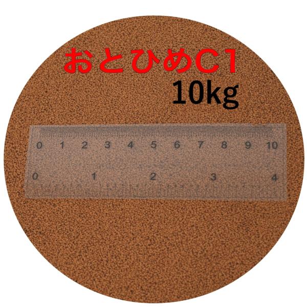 注文確認と入金確認は2日に1回の為、当日中の連絡が無い可能性がございます。(なるべく毎日確認はします）注文が集中している場合など対応が追い付かず連絡が深夜~翌日になる場合がございます。発送メールは必ず送信しております。また変更や連絡があれば...