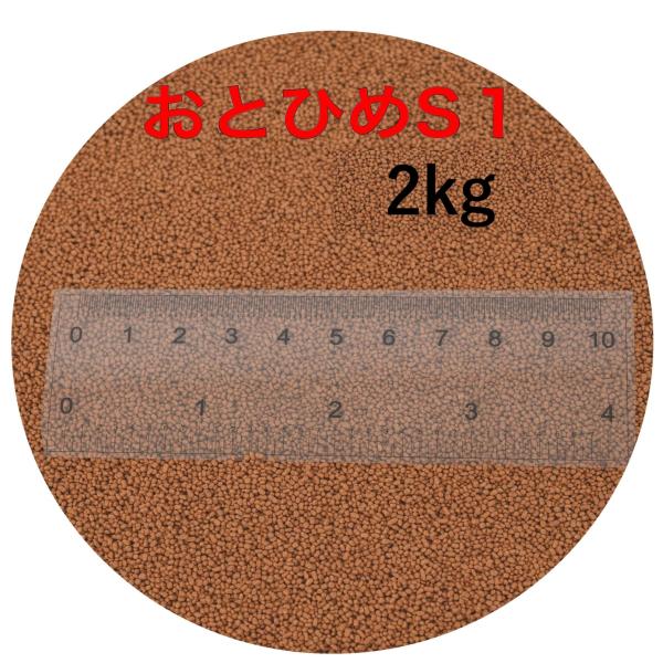 注文確認と入金確認は2日に1回の為、当日中の連絡が無い可能性がございます。(なるべく毎日確認はします）2kgの餌がラミジップに入っております。新品未開封品となります。AM４時までのご入金で翌日発送予定ですが、在庫やセンター状況によっては遅れ...