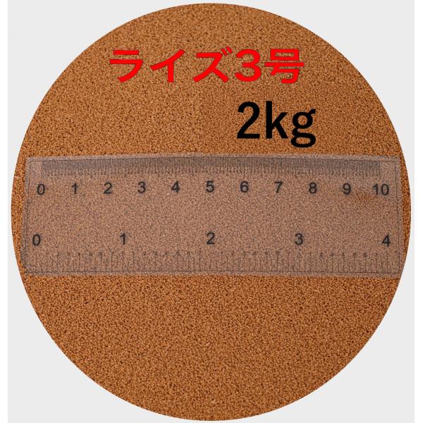 注文確認と入金確認は2日に1回の為、当日中の連絡が無い可能性がございます。(なるべく毎日確認はします）1kgの餌がラミジップに入っております。注文が集中している場合など対応が追い付かず連絡が深夜~翌日になる場合がございます。発送メールは必ず...