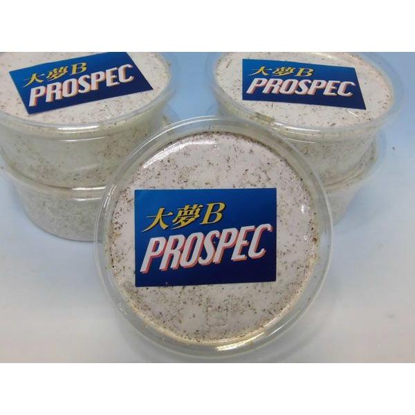 ■大夢Ｂプロスペック　ウェイヴ　カップ200（プリンカップ200mlを使用）ギネス連発菌床栄養価の高いクヌギ100％の生オガ使用！100％細中目生オガ使用、使用菌種：オオヒラタケ使用オガコ：クヌギ100％生オガコ使用　水分約50％ 虫の育ち...