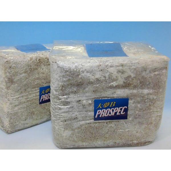 ■大夢Ｂプロスペック ウェイヴ ブロック　4L　（詰め替え用ブロック4000ml）100％細中目生オガ使用、使用菌種：オオヒラタケ、使用オガコ：クヌギ100％生オガコ使用　水分約50％ 虫の育ち、菌糸の持ち、どれを取っても優れてます。非常に...