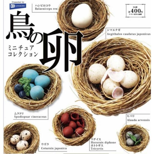 メーカー  レインボーハシビロコウシマエナガムクドリウズラウグイス ホトトギスヒバリ以上の全6種セットです。※送料込みの価格ですネコポス発送カプセルは付きません　ミニブック付属します