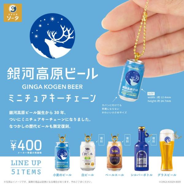 メーカー  SO-TA・小麦のビール・白ビール・ペールエール・シルバーボトル・グラスビール以上の5種セットです。※送料込みの価格ですネコポス発送カプセルは付きません　ミニブック付属します