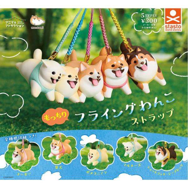 メーカー  スタンドストーンズサイズ：約45〜58mmコーギー柴犬ポメラニアンマルチーズシェットランド・シープドッグ以上の全5種セットです。※送料込みの価格ですネコポス発送カプセルは付きません　ミニブック付属します