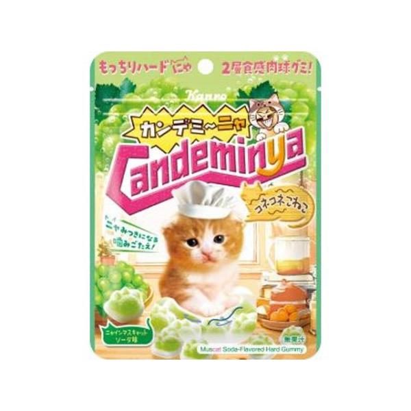 【発売日：2026年02月17日】パッケ−ジコネコデザインです。子猫が作ってくれている！？思わず買いたくなるコネコネこねこ（フミフミ）デザインです。マスカットソーダソーダ味です。