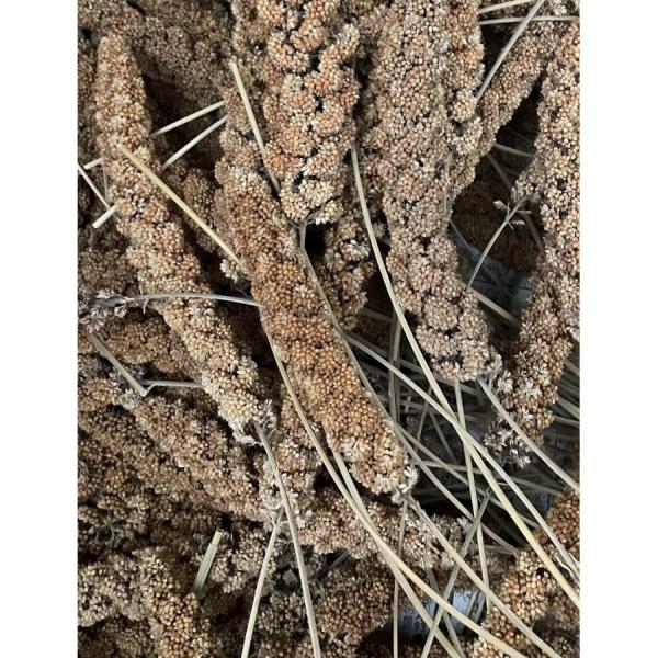 長い歴史を誇る飼料事業の経験を活かし、中国・オーストラリア・インド・カナダ・アメリカなど世界各国から多くの飼料原料を輸入しております。品質管理には特に注意を払っており、可愛い小鳥・小動物のために厳選した原料を使用し安心・安全な製品をお届して...