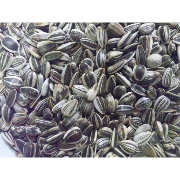 長い歴史を誇る飼料事業の経験を活かし、中国・オーストラリア・インド・カナダ・アメリカなど世界各国から多くの飼料原料を輸入しております。品質管理には特に注意を払っており、可愛い小鳥・小動物のために厳選した原料を使用し安心・安全な製品をお届して...