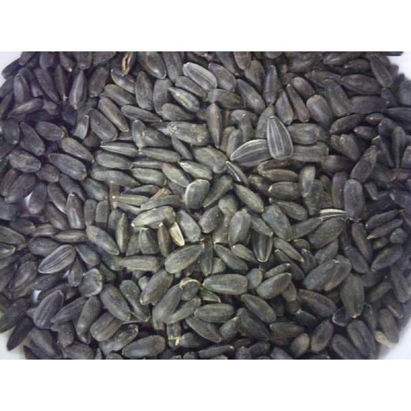 長い歴史を誇る飼料事業の経験を活かし、中国・オーストラリア・インド・カナダ・アメリカなど世界各国から多くの飼料原料を輸入しております。品質管理には特に注意を払っており、可愛い小鳥・小動物のために厳選した原料を使用し安心・安全な製品をお届して...