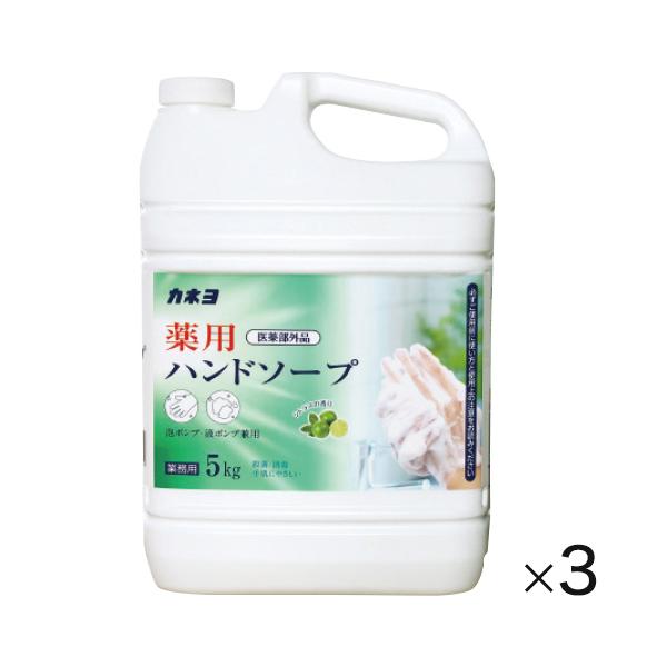 ヤシ油を使用した手肌にやさしい液体石けん。