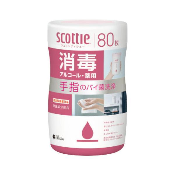 アルコールタイプ。手指のバイ菌をしっかり洗浄。●サイズ／シート：13×20cm