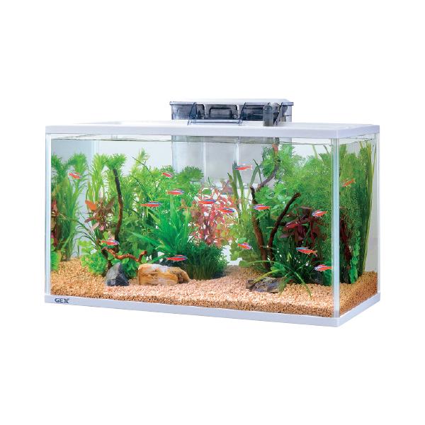 静音・省エネなスリムフィルター付き水槽セット●内容／ガラス水槽、外掛け式フィルター（スリムフィルターM）、フタ、カルキ抜き●サイズ／水桶：約50×24×2cm●容量／約30L※USB電源・アダプターは別売りです。