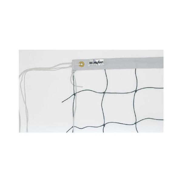 授業や練習用におすすめの普及タイプ。●サイズ／W600×H80cm●ポリエチレン有結節●太さ／440T/30本●網目／10cm