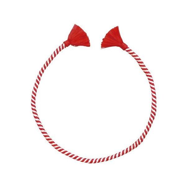 中芯入りできれいに巻ける！●サイズ／φ1×98cm●材質／ロープ：PP・PET、中芯：鉄