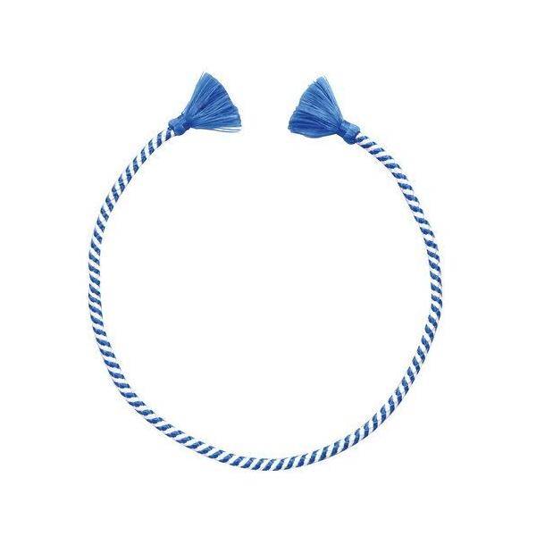 中芯入りできれいに巻ける！●サイズ／φ1×98cm●材質／ロープ：PP・PET、中芯：鉄