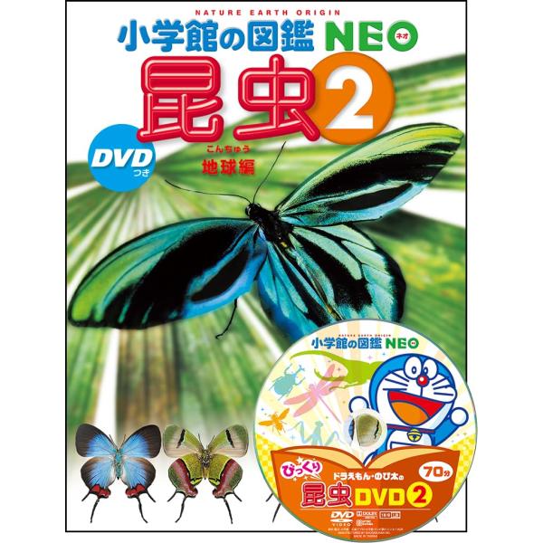 ●サイズ／A4判変型●ページ／160 〜 208●付属品／DVD付