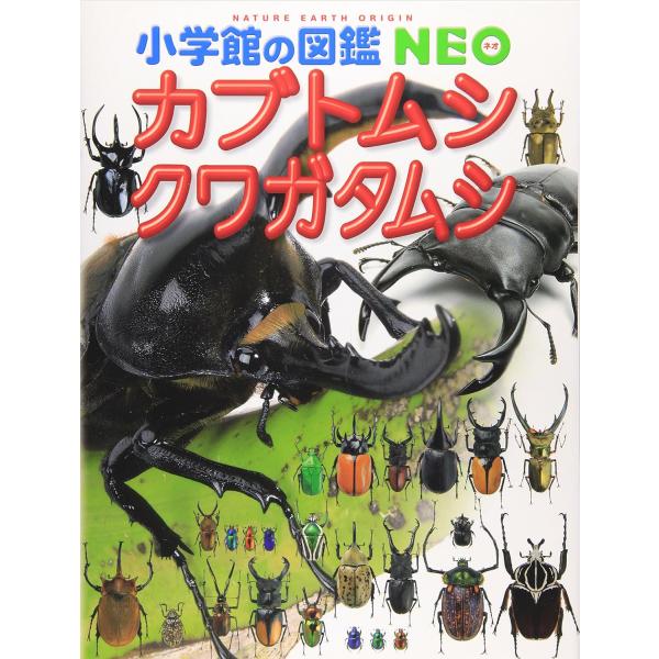 ●サイズ／A4判変型●ページ／160 〜 208