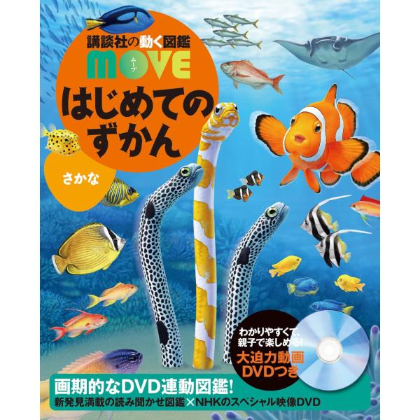 ●サイズ／約26.5×22cm●ページ数／88 〜 9●付属品／DVD