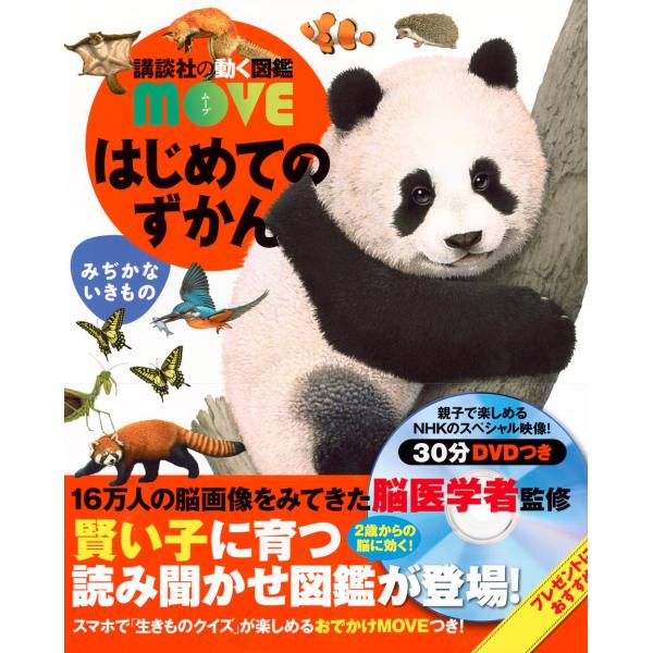 ●サイズ／約26.5×22cm●ページ数／88 〜 92●付属品／DVD