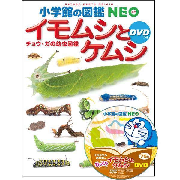 ●サイズ／A4判変型●ページ／160 〜 258●付属品／DVD