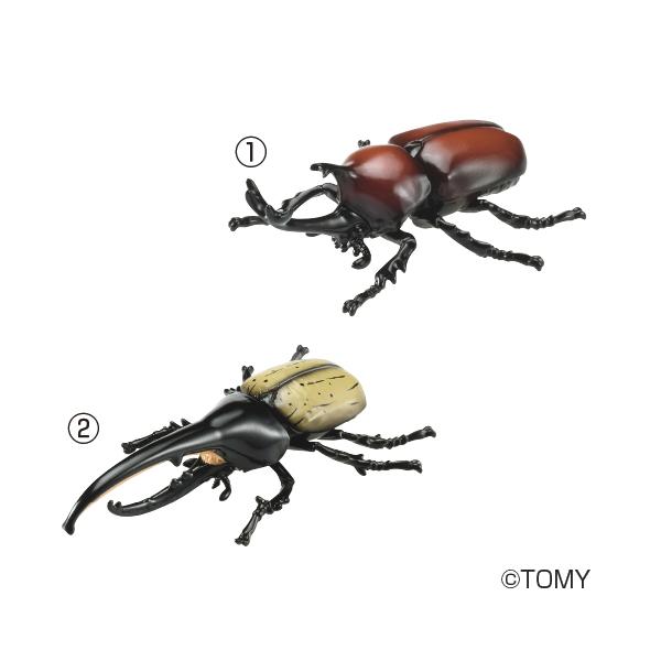 アニアシリーズに昆虫が登場！●パッケージサイズ【２：ヘラクレスオオカブト】／W9.2×D6.4×H5.2cm