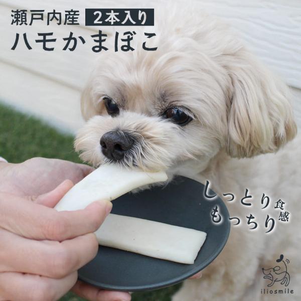 【無添加 国産 瀬戸内産 ハモかまぼこ 2本入り】高級魚ハモを使用した上品な舌触りの瀬戸内産 ハモかまぼこはもは身は上品で甘味があり、繊細な味わいのはもは高級料亭などで食べられる高級魚として知られています。しかし、はもには小骨が非常に多く、...