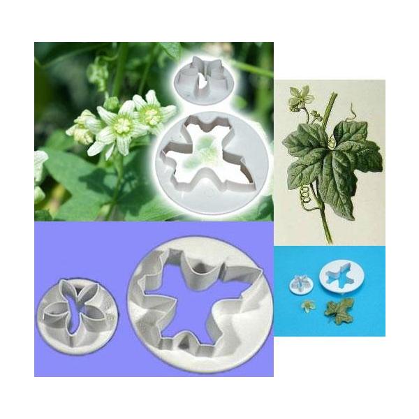 White Bryony Cutter / 1 set40mm